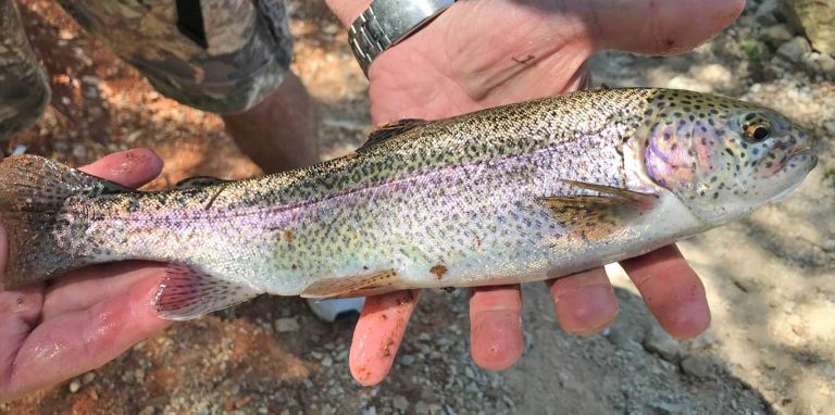 Nelson County - Fish Virginia First Fishing Holes